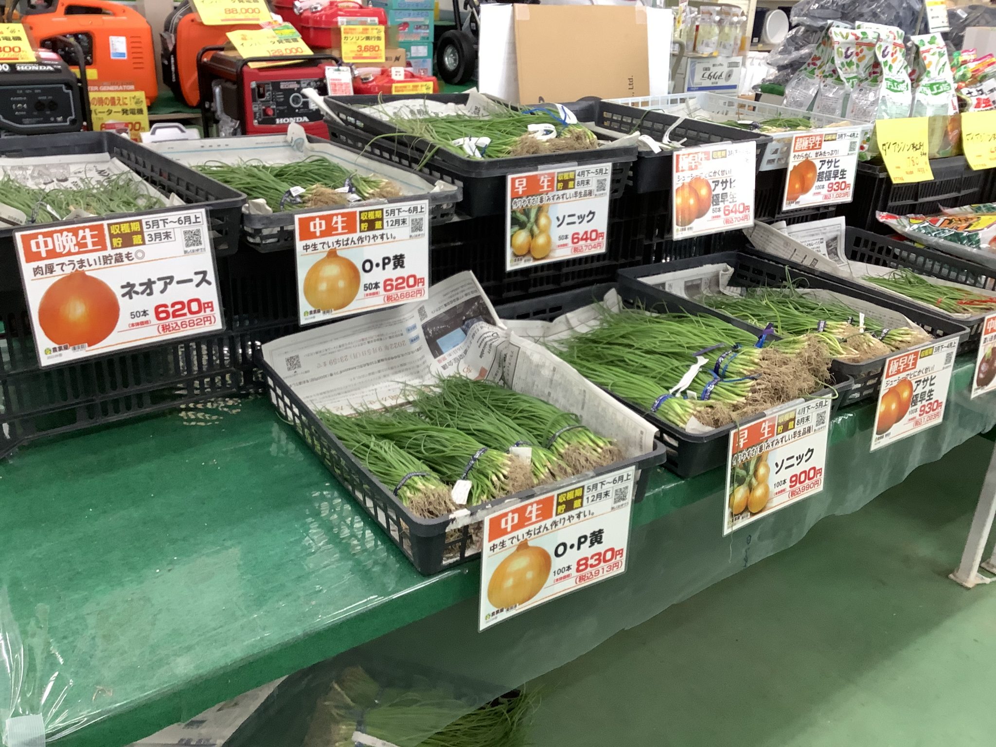 秋のセール開催中！